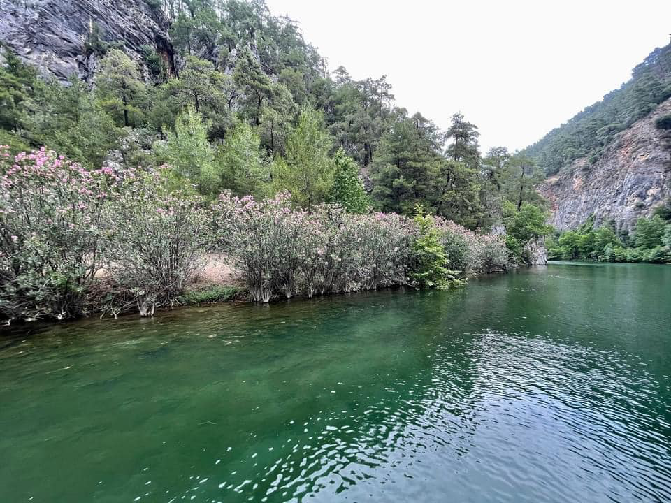 Akkaya Sunset With Birds And Wildlife